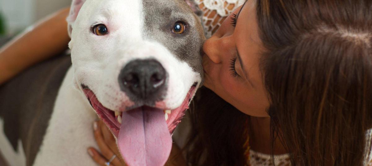 Las razas y características de los perros potencialmente amorosos
