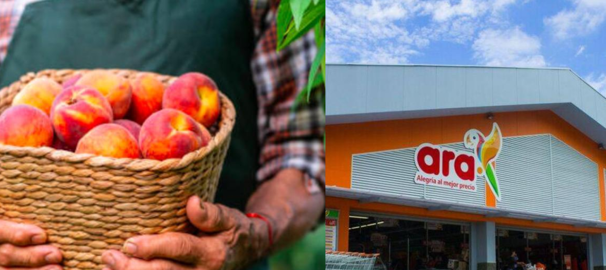 Tiendas Ara tiene nuevas vacantes disponibles en Colombia: consulte ...