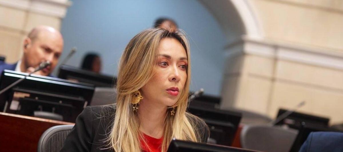Katherine Miranda sobre el presupuesto: 'La idea es que lo logremos ...