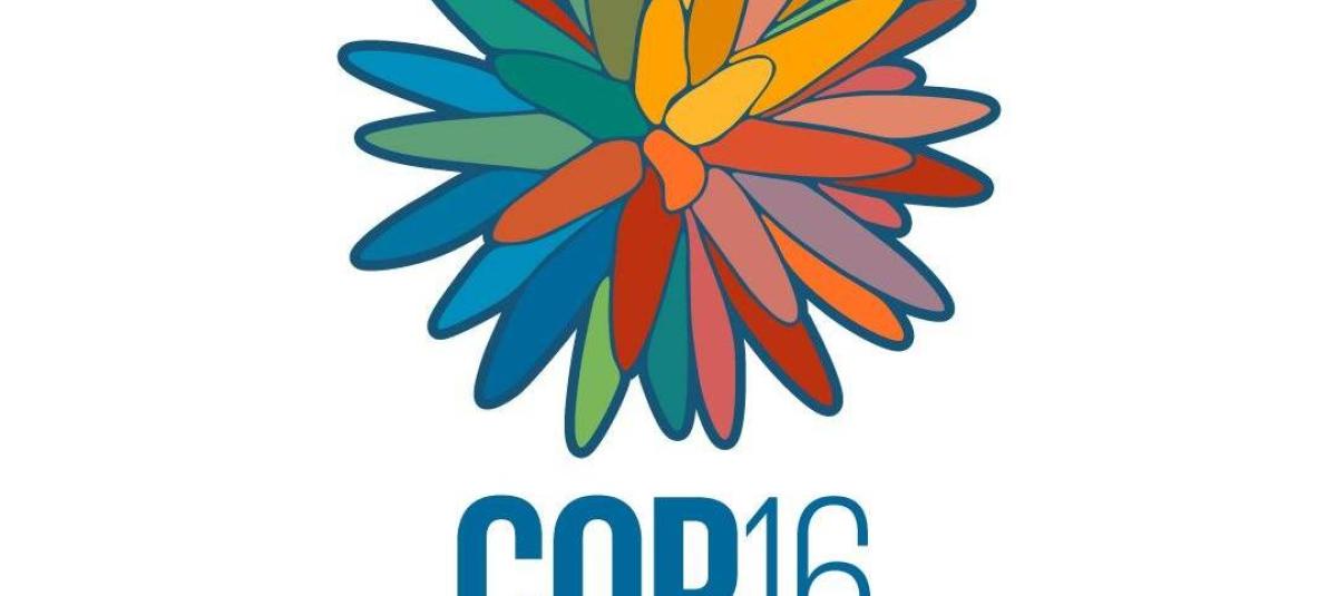 COP16: empresarios le apuestan al embellecimiento de Cali antes de la ...