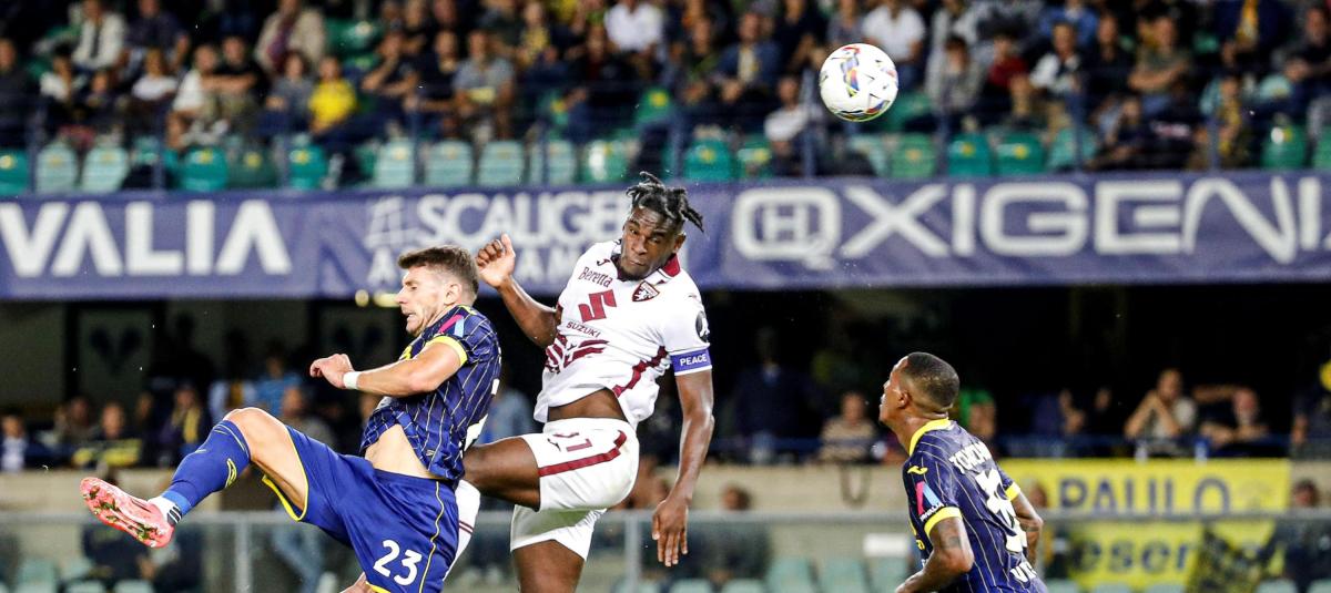 Video | Gol de Duván Zapata en el juego Hellas Verona vs. Torino