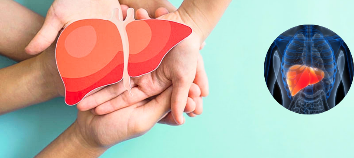 ¿Qué debería hacer para tener un hígado sano, según los expertos?