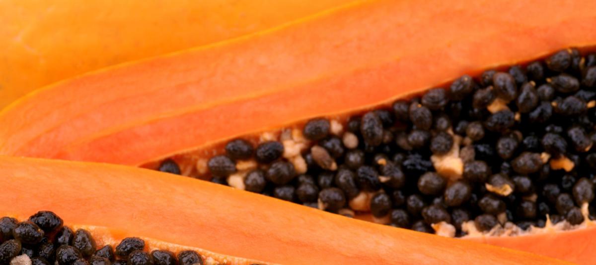 Expertos afirman que las 'pepas' de papaya se pueden comer y tienen ...