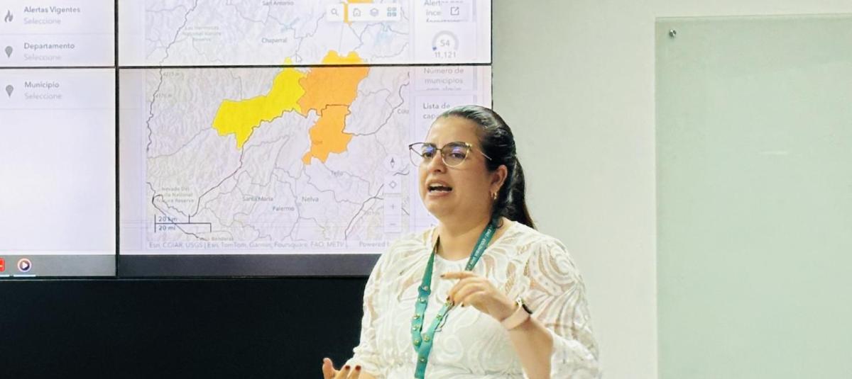 Directora del Ideam habla sobre los incendios forestales y las heladas ...