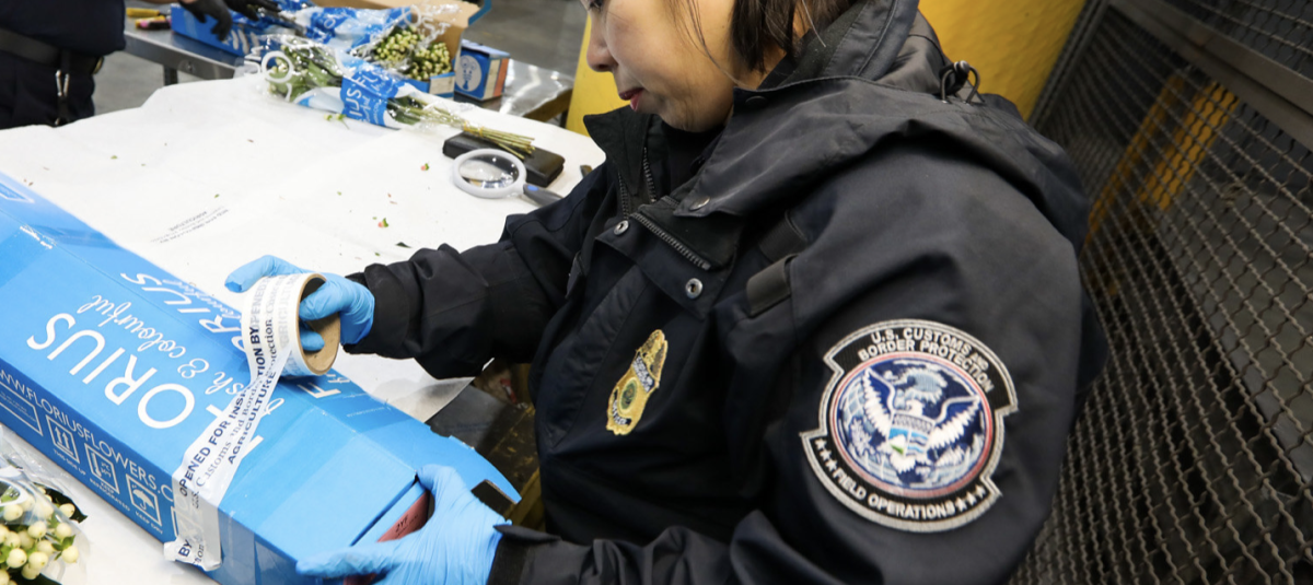 CBP recordó que no puede entrar a EE. UU con este producto o recibirá ...