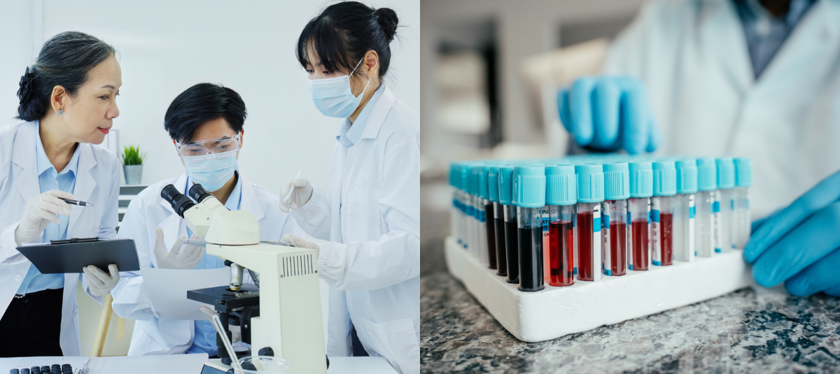 Estudio identifica el ‘códigos de barras’ moleculares en la sangre ...