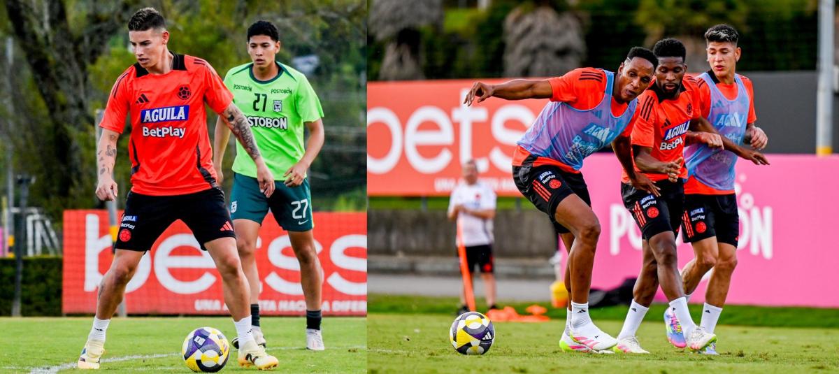 Selección Colombia: siete suplentes, las novedades de la convocatoria ...