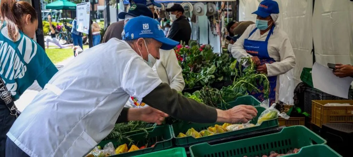 Radiografía de la seguridad alimentaria en Colombia: el país reduce el ...