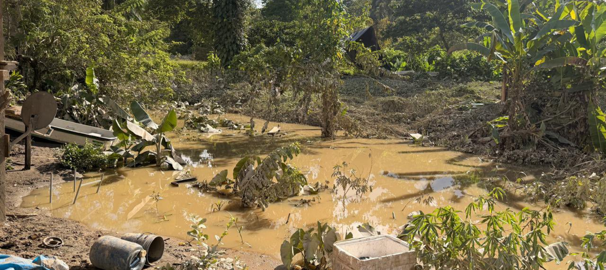 La Defensoría del Pueblo declaró la alerta humanitaria en Santa Bárbara ...