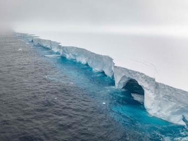 Iceberg: Noticias, Fotos y Videos de Iceberg