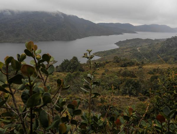 Chingaza: Parques Nacionales anunció senderos habilitados