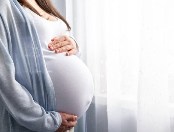 Solo 16 % de las personas en edad reproductiva conoce cuándo ocurre la ...