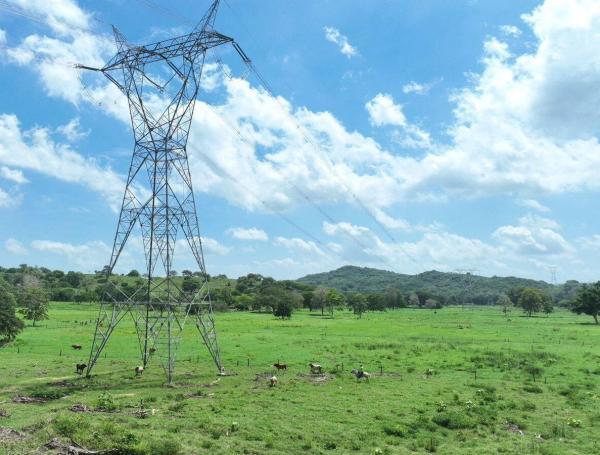 ISA invertirá US$ 130 millones al 2030 en startups que aceleren la transición energética