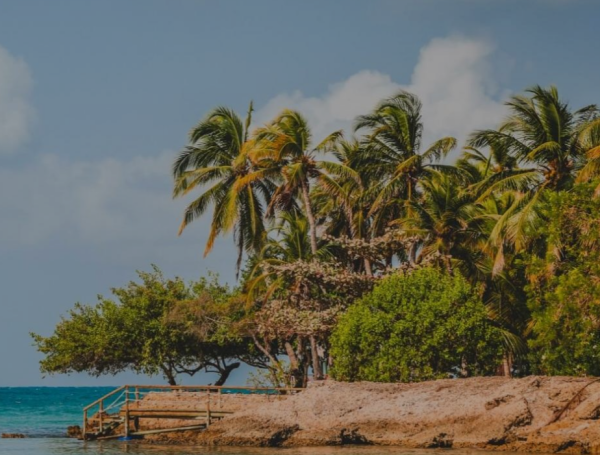 Esta es la isla paradisíaca en Colombia a solo una hora de Bogotá en ...