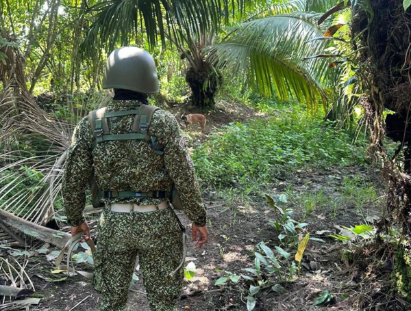Andrés Felipe Pinilla Arboleda: el soldado profesional que perdió la ...