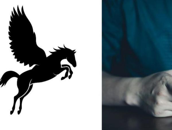 Caso Pegasus: las cinco preguntas y respuestas claves de la indagación ...