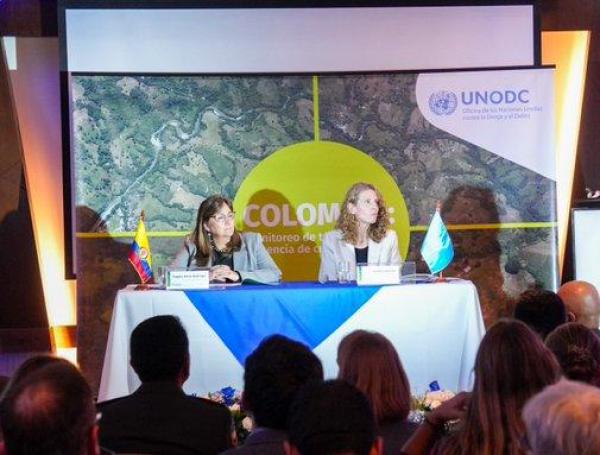 Las claves del alarmante retrato de la ONU sobre narcocultivos en el país