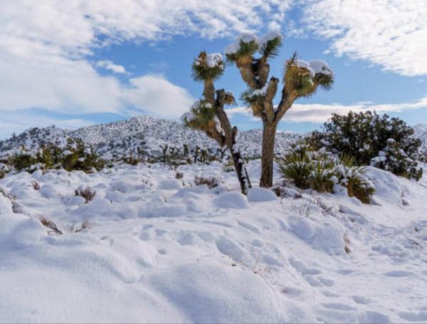 ¿Por qué la nieve es blanca y el agua clara? Los misterios de esta ...