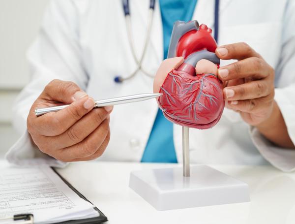¿Una copa de vino al día es buena para el corazón? Cardióloga desmiente ...