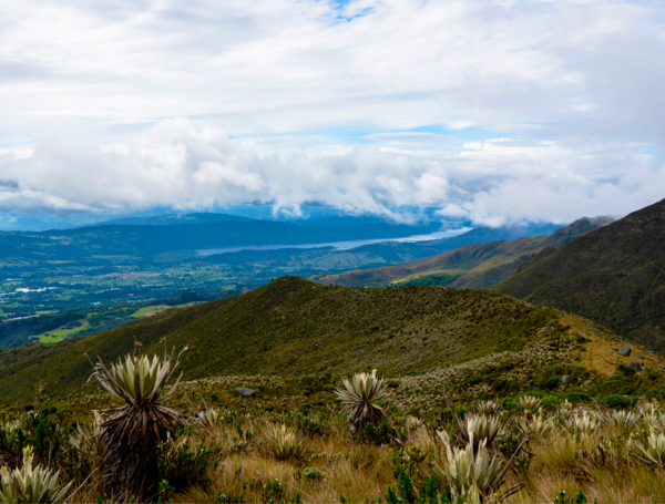 Bavaria encabeza el Índice de Inversión Social Privada 2025 en Colombia
