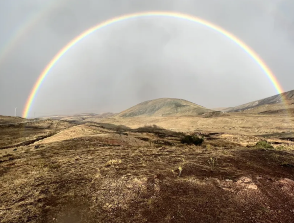 ¿Hallaron el Arca de Noé? Arqueólogos desenterraron restos fosilizados ...