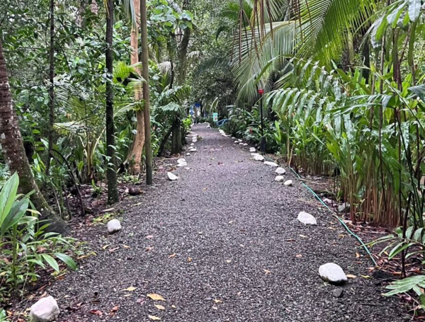 Urabá, tierra de resistencia y bullerengue: así este destino del Caribe ...