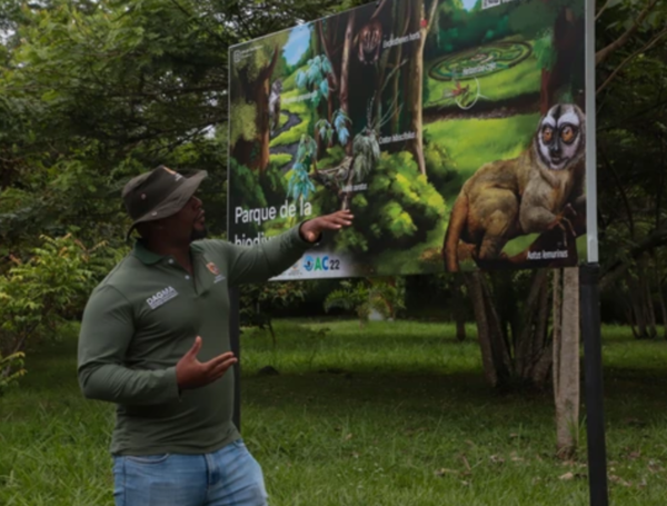 Un año después de la COP16, Cali volverá a convertirse en la capital ...