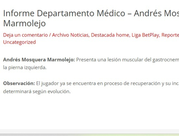 Andrés Mosquera Marmolejo, arquero de Santa Fe, se lesionó: tiempo dei incapacidad