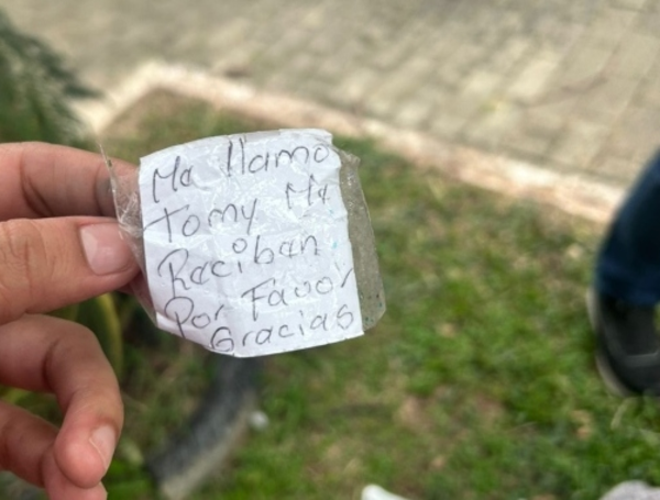 Abandonaron a Tomy, un perrito criollo, con una nota y un bozal en un ...
