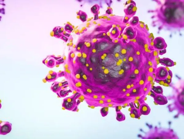 ¿Existe cura para el hantavirus? La OMS explica qué se sabe sobre ...
