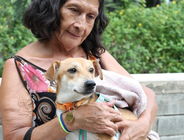Más de 400 animales abandonados en Cali durante 2026: la cruda realidad ...