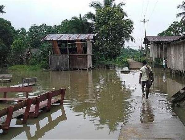 Defensoría del Pueblo dice que paro armado en Chocó desplazó y confinó ...