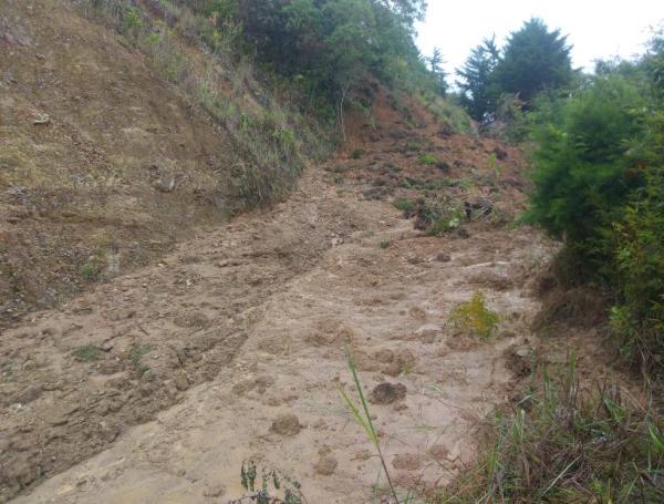 Derrumbe en vereda la Suiza de san sebastián de palmitas