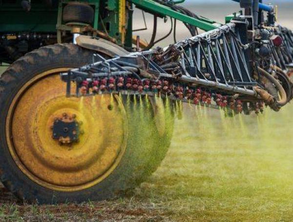 Estas son las frutas con más pesticidas en Europa, según el mayor ...