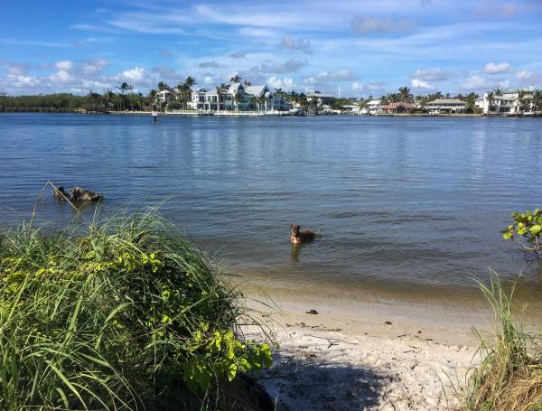 ¿Cuál es la playa más contaminada de Florida, según Chat GPT?