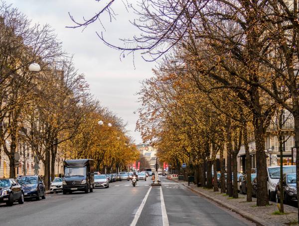 ¿Viaja solo? Estos son los mejores lugares para hacerlo