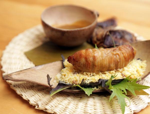 ¿A qué sabe el escarabajo que 'juega' con una bola de estiércol?