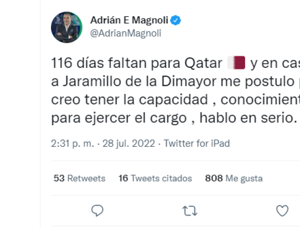 Adrián Magnoli quiere ser presidente de la Dimayor, pero no puede