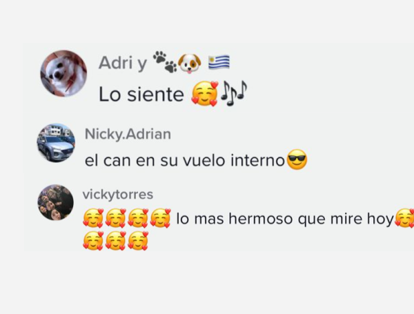 Raperro: el famoso pitbull de TitkTok amante del hip hop