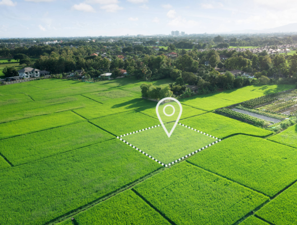 ¿Problemas con los límites de su lote? Así se define de manera correcta ...