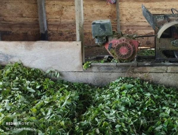 Cocaína: destruyen laboratorios para procesar base del 'clan del Golfo'