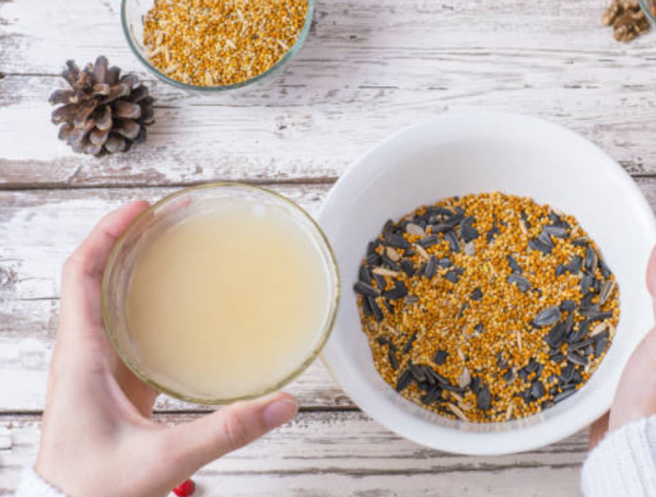 Agua de alpiste: ¿cuales son los beneficios que tiene para la salud?