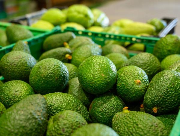 Flores, banano y aguacate hass, entre las principales exportaciones de ...