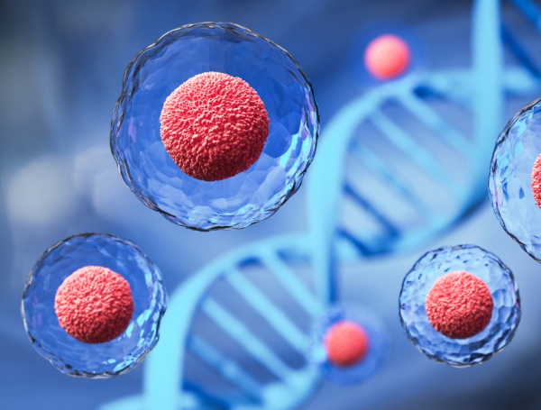 Células madre: ¿cómo se obtienen y para qué se usan contra el cáncer?