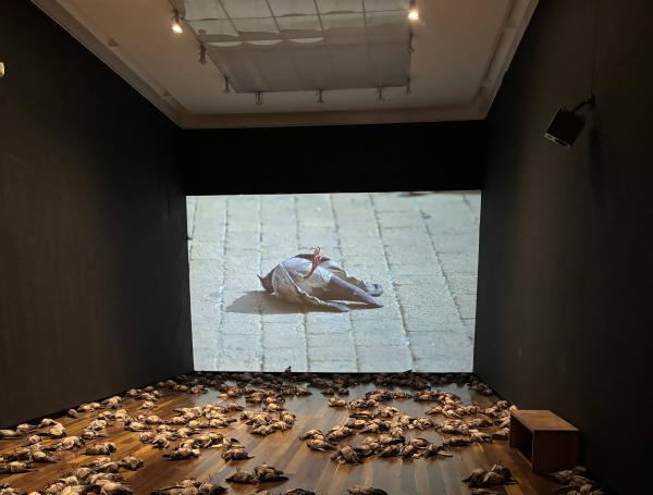 Ruby Rumié: La mujer que mató 500 palomas