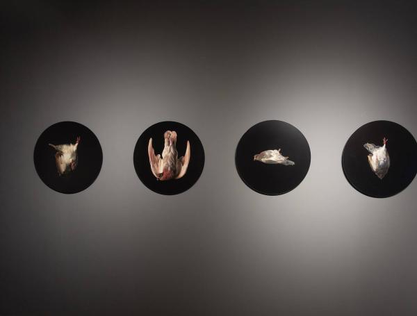 Ruby Rumié: La mujer que mató 500 palomas