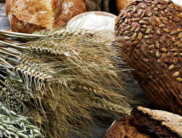 El desayuno ideal según la ciencia: estos son los cuatro alimentos que ...