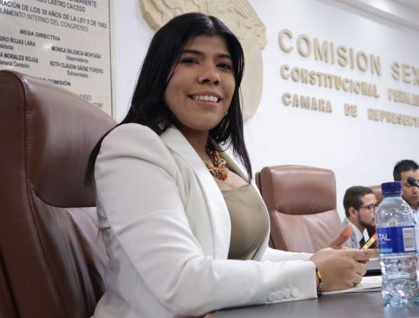 Pulso para prohibir corridas de toros en el Congreso: así va proyecto ...