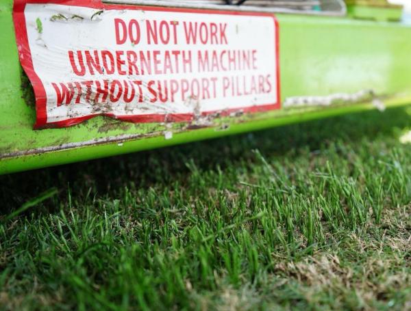 El Campín se alista para tener una nueva cancha: la gramilla será ...