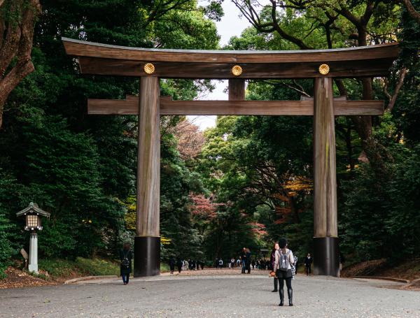 Japón: paisajes y festivales para visitar en Tokio durante otoño